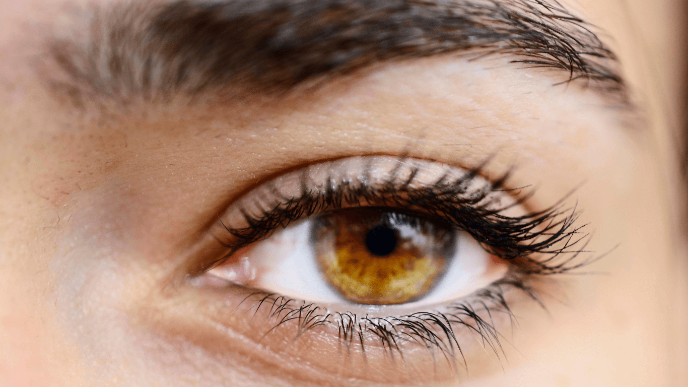 Toxoplasmosis Ocular: síntomas, tratamiento y prevención