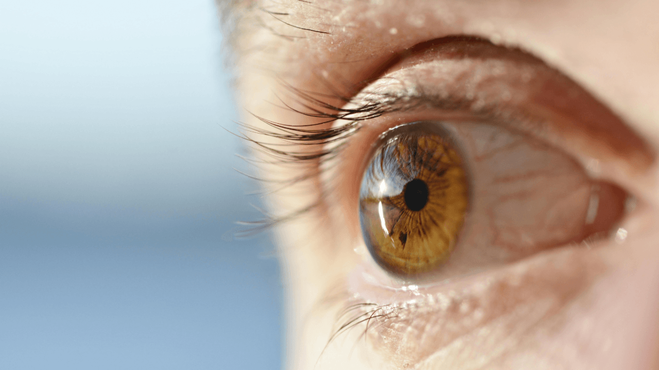 Anisocoria: qué es, causas y cuándo preocuparse por estrés